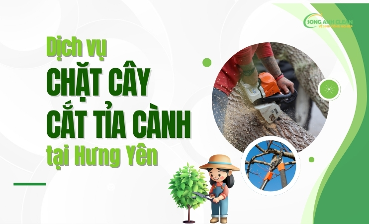 Dịch Vụ Chặt Cây Cắt Tỉa Cành Chuyên Nghiệp Tại Hưng Yên