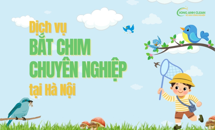 Dịch Vụ Bắt Chim Tại Hà Nội "3 Trong 1" Uy Tín Chuyên Nghiệp